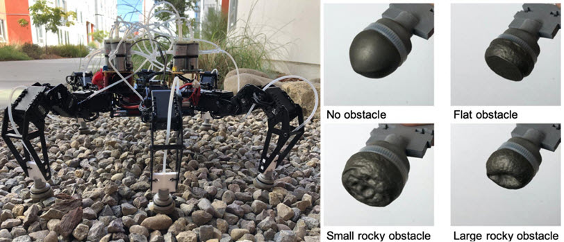 Hexapod Robots Walk Faster With Flexible Feet